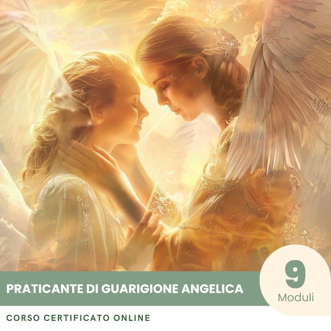 Login – Certified Excellence – IT